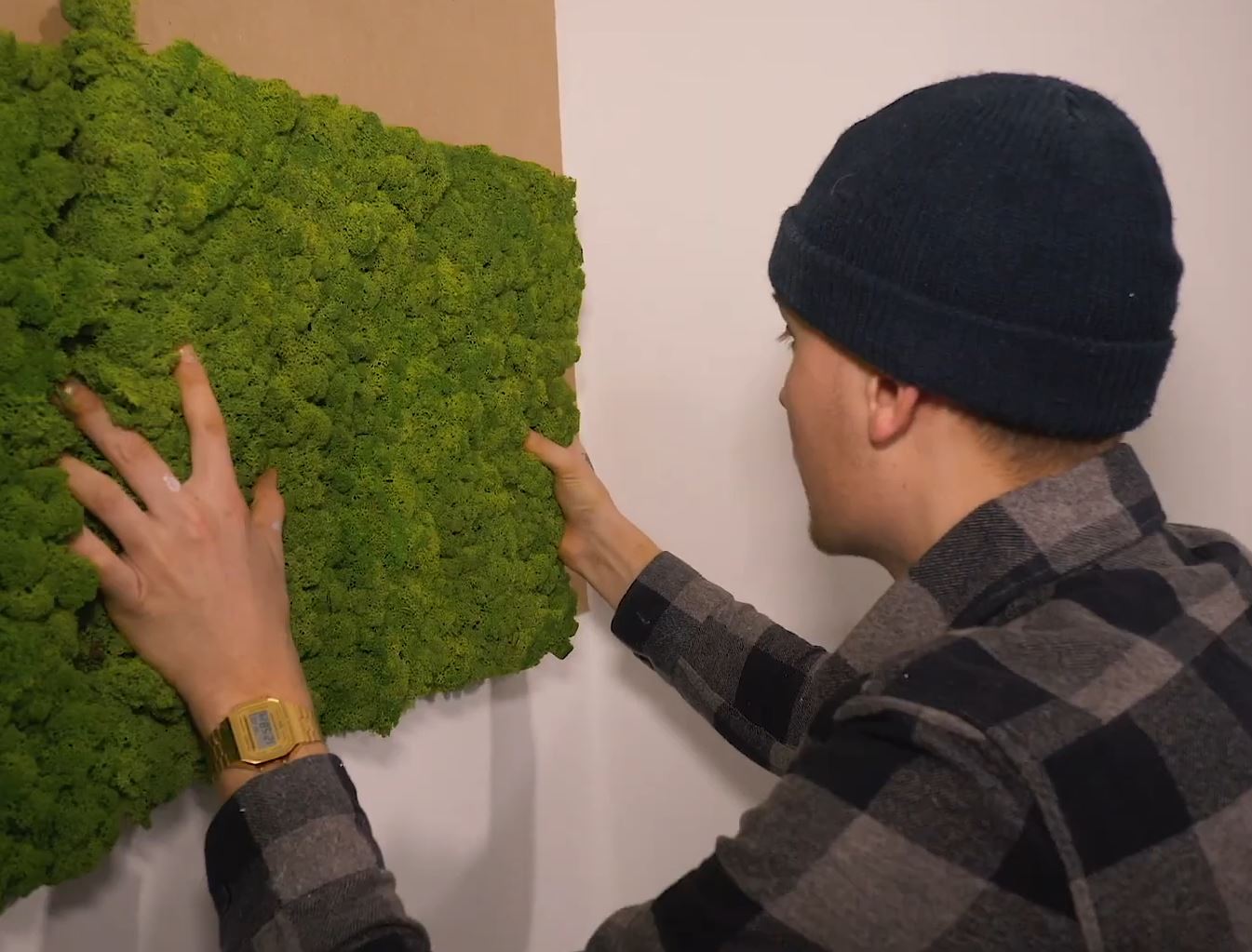 Mooswand leicht gemacht! – Freund greenliving